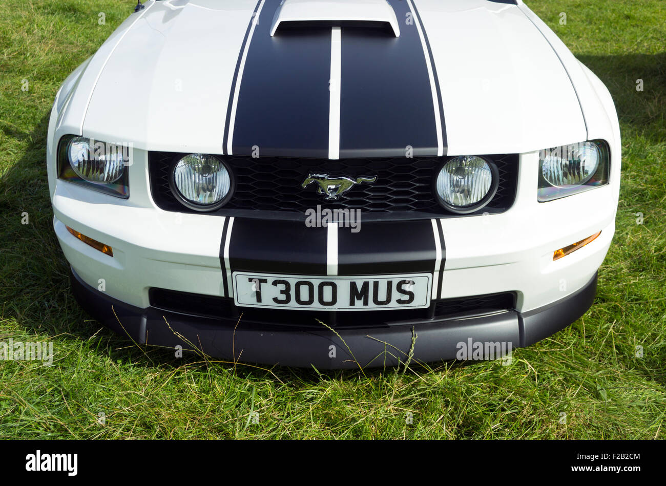 Car mus hi-res stock photography and images - Alamy