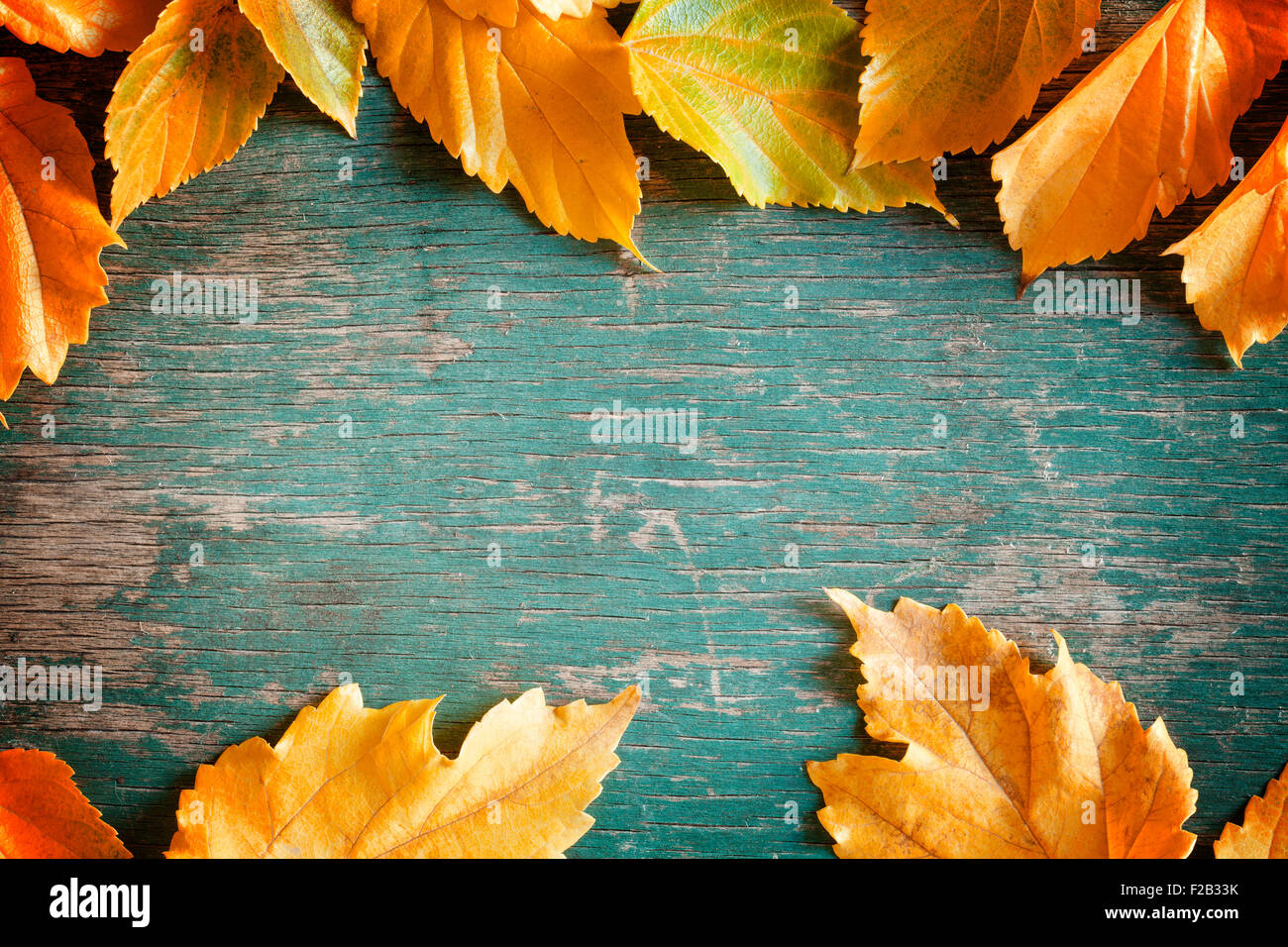 Close up photograph of a colorful fall backdrop Stock Photo - Alamy