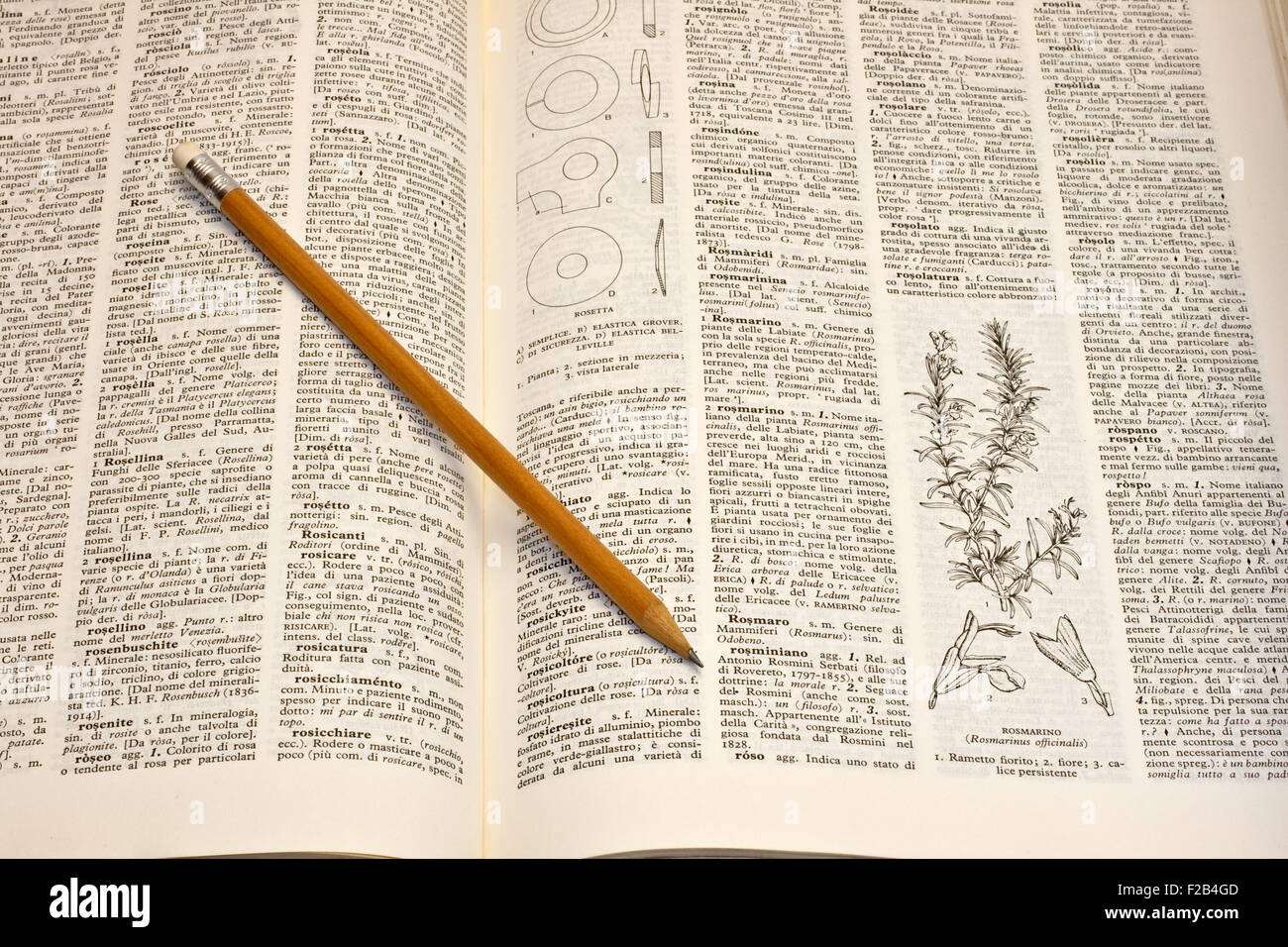 Open dictionary hi-res stock photography and images - Alamy