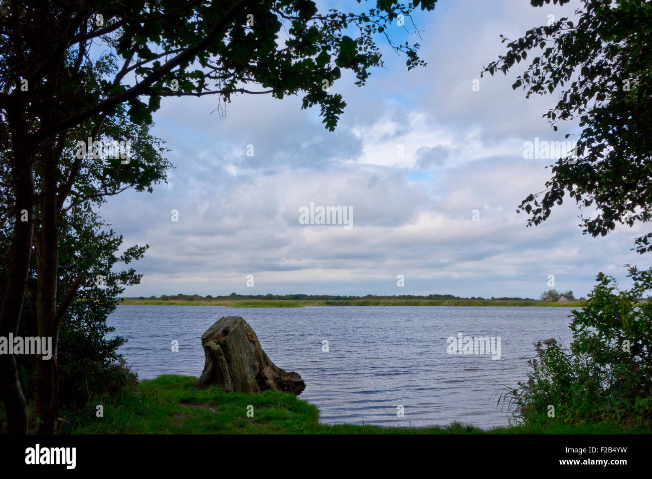 Martham hi-res stock photography and images - Alamy