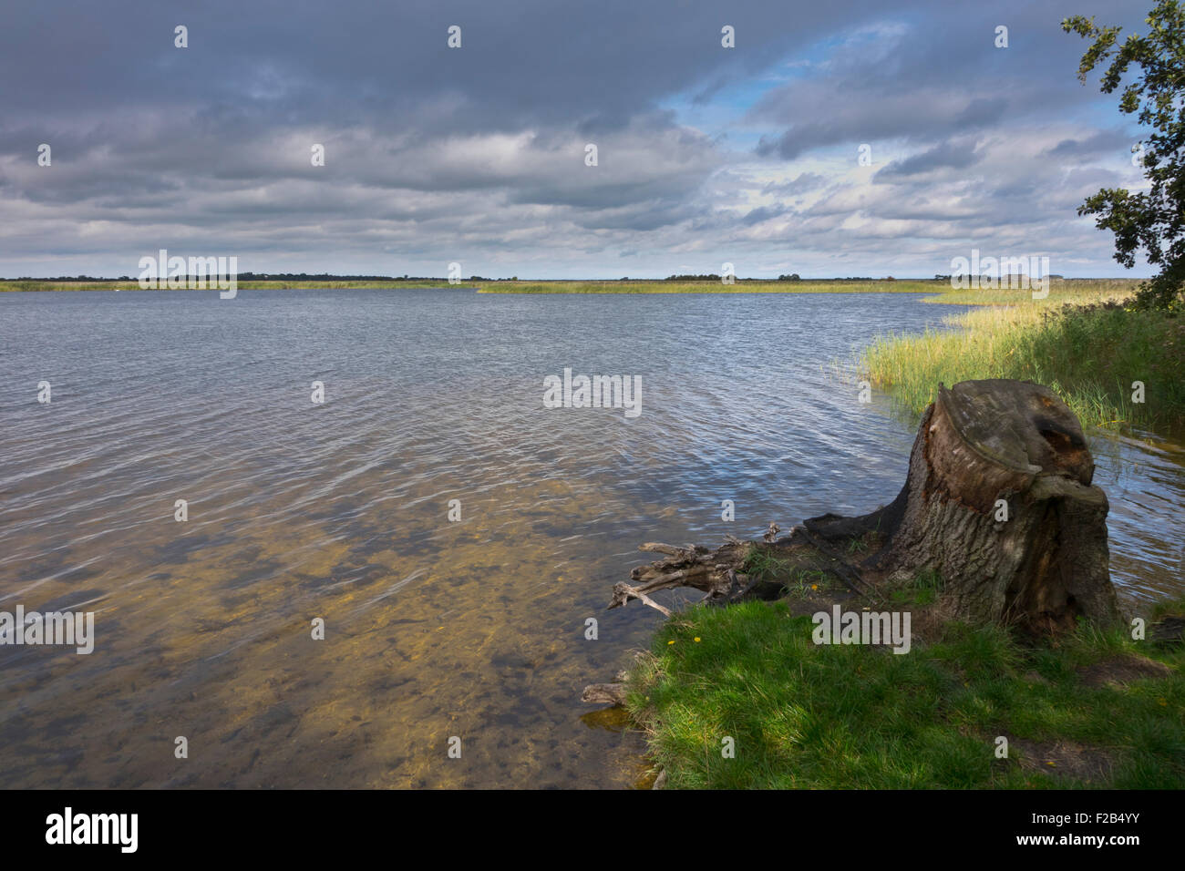 Reserver hi-res stock photography and images - Alamy