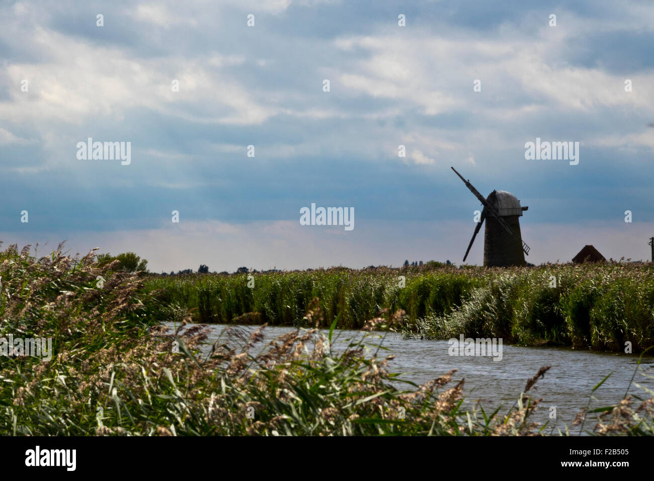Heigham Holmes drainage mill windmill derelict ruin old Stock Photo - Alamy