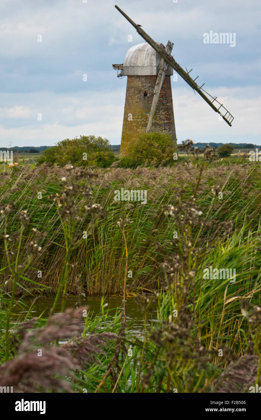 Heigham Holmes drainage mill windmill derelict ruin old Stock Photo - Alamy