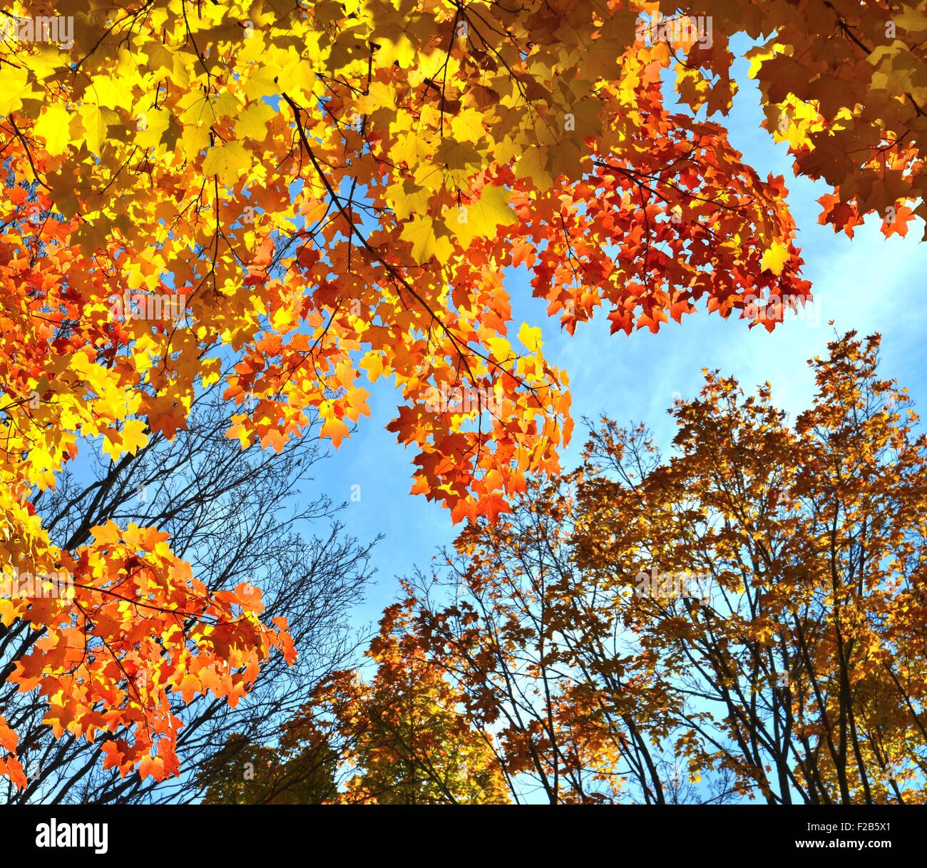 Fall color in Devil's Lake State Park near Baraboo, Wisconsin Stock ...