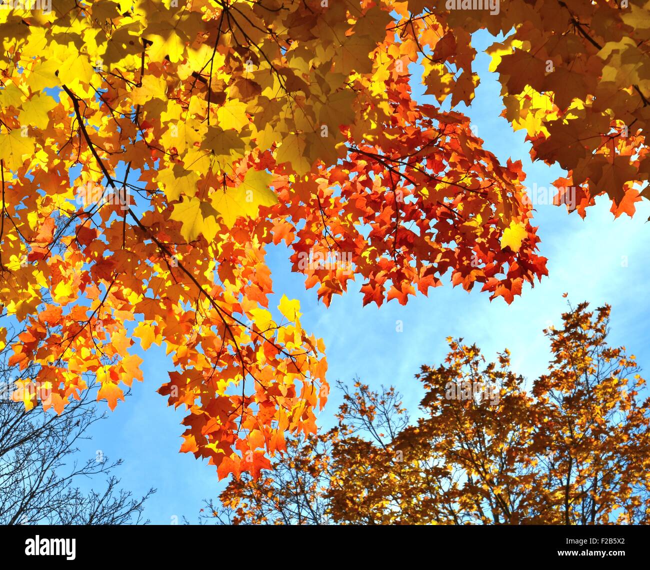 Fall color in Devil's Lake State Park near Baraboo, Wisconsin Stock ...