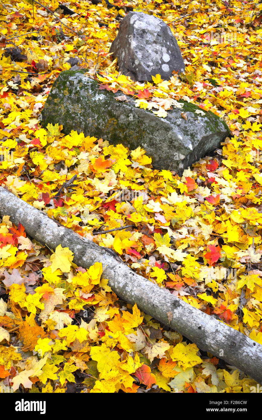 Fall colors at Devil's Lake State Park near Baraboo, Wisconsin Stock ...