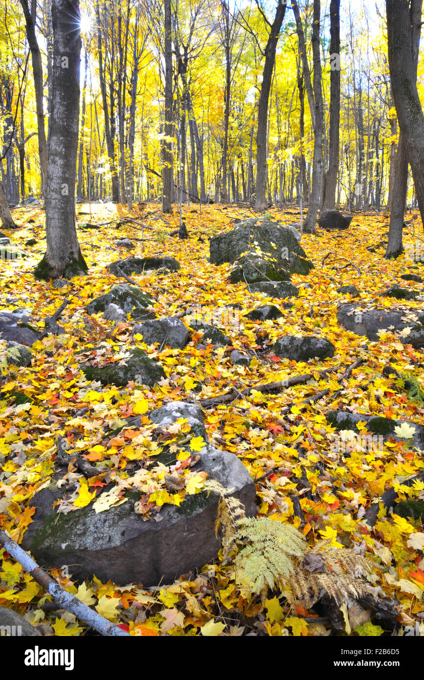 Fall colors at Devil's Lake State Park near Baraboo, Wisconsin Stock ...