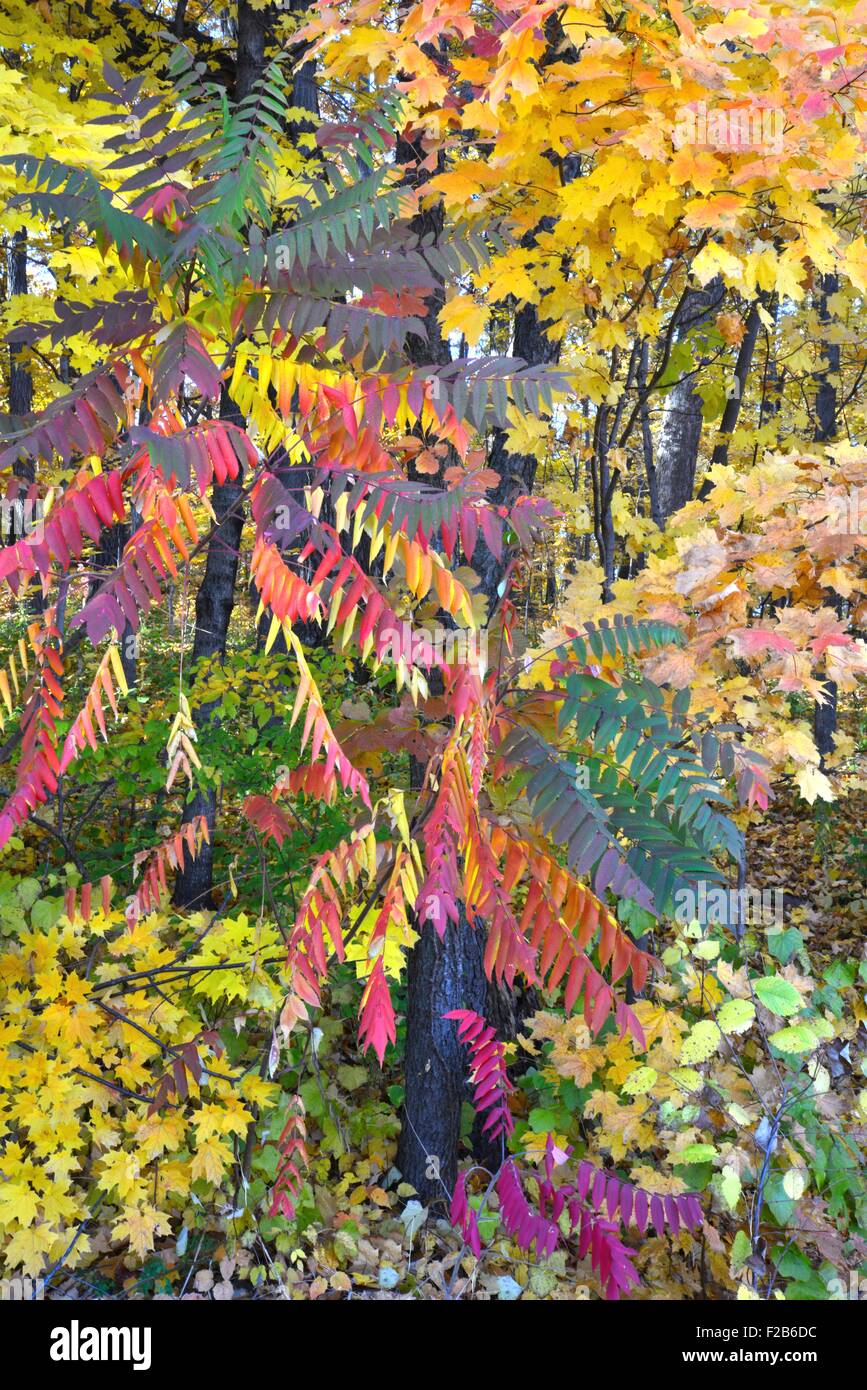 Devils lake state park hi-res stock photography and images - Alamy