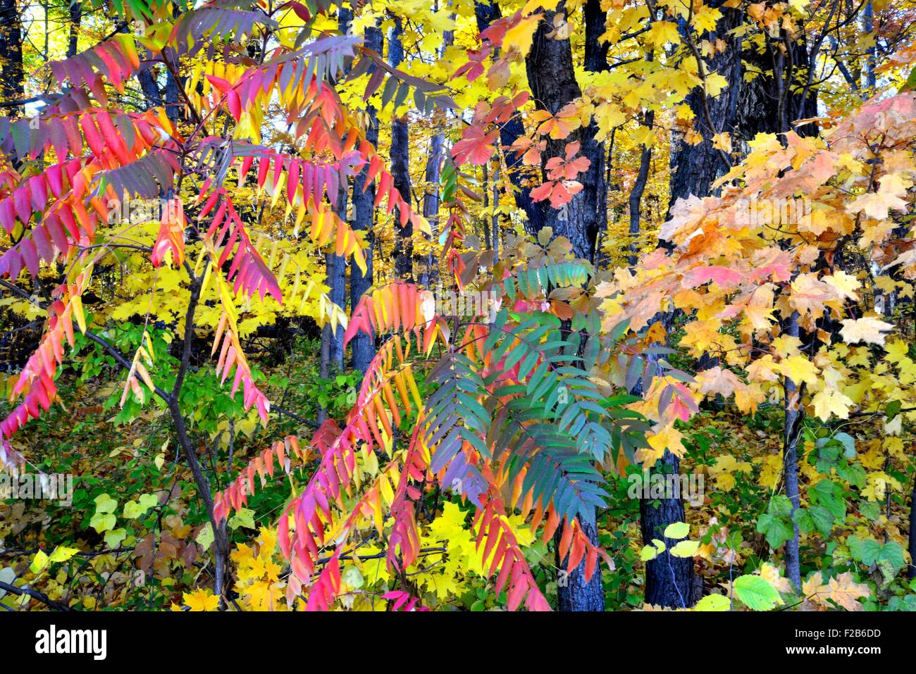 Devils lake state park hi-res stock photography and images - Alamy