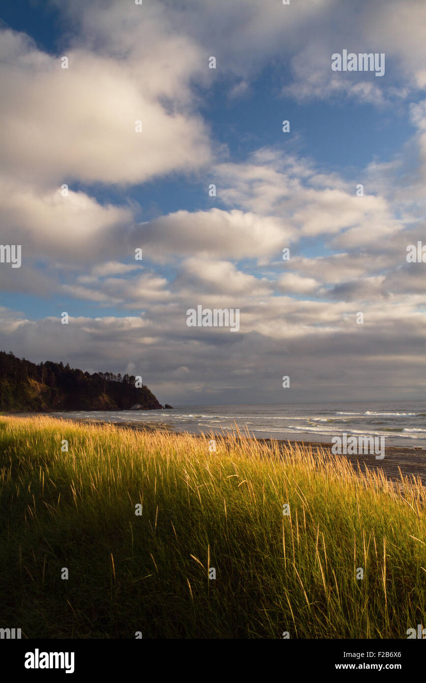 Long Beach of Washington State, Coastal view of the Pacific Ocean. USA ...