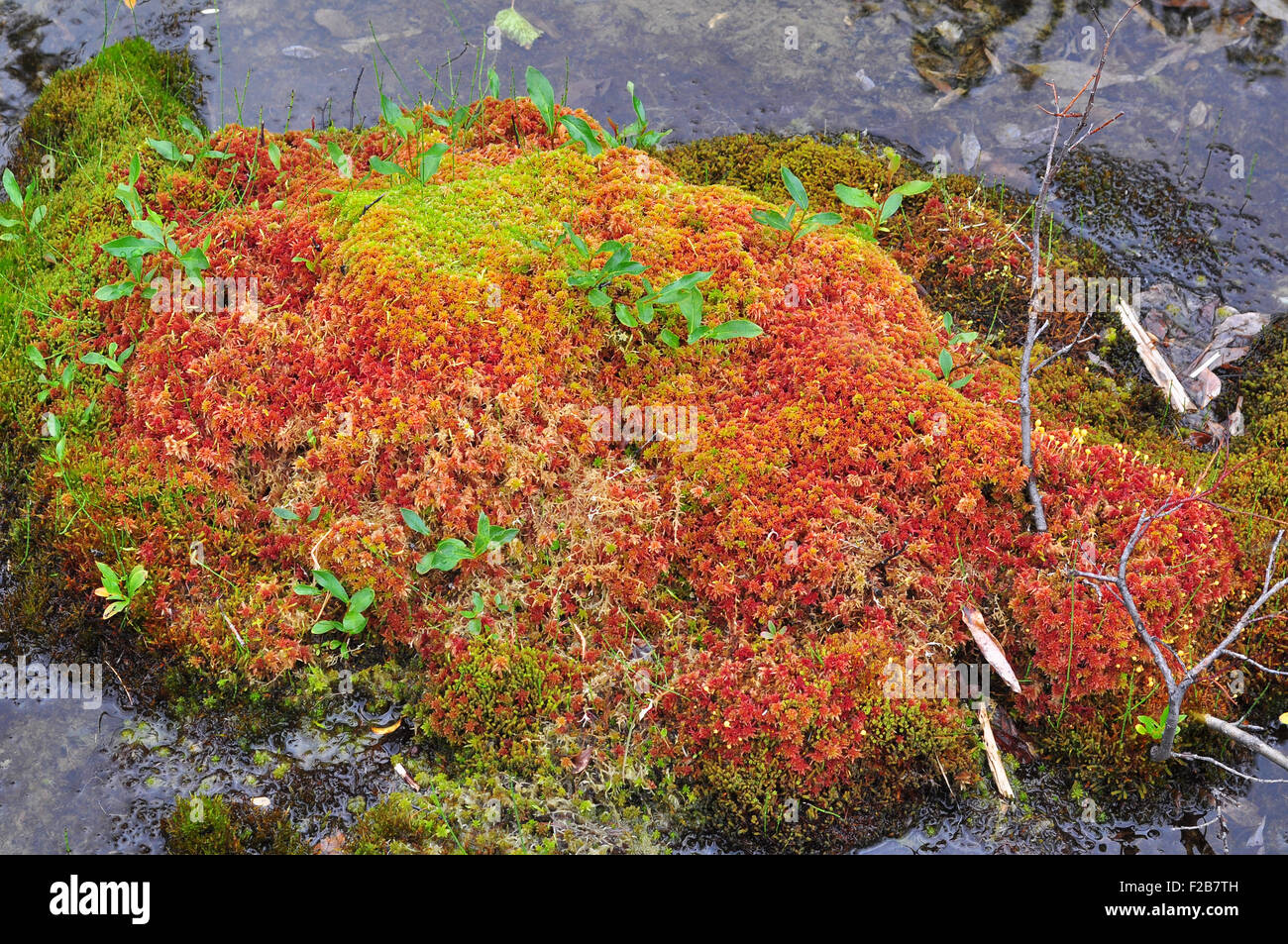 Brightly colored landscapes hi-res stock photography and images - Alamy