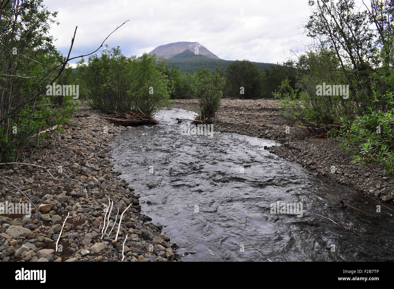 Taimyr reserve hi-res stock photography and images - Alamy