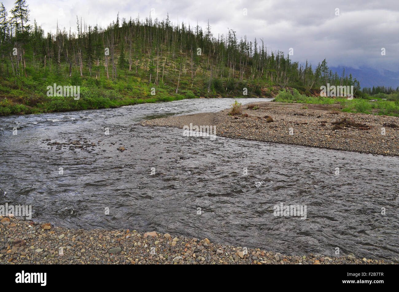 Taimyr reserve hi-res stock photography and images - Alamy