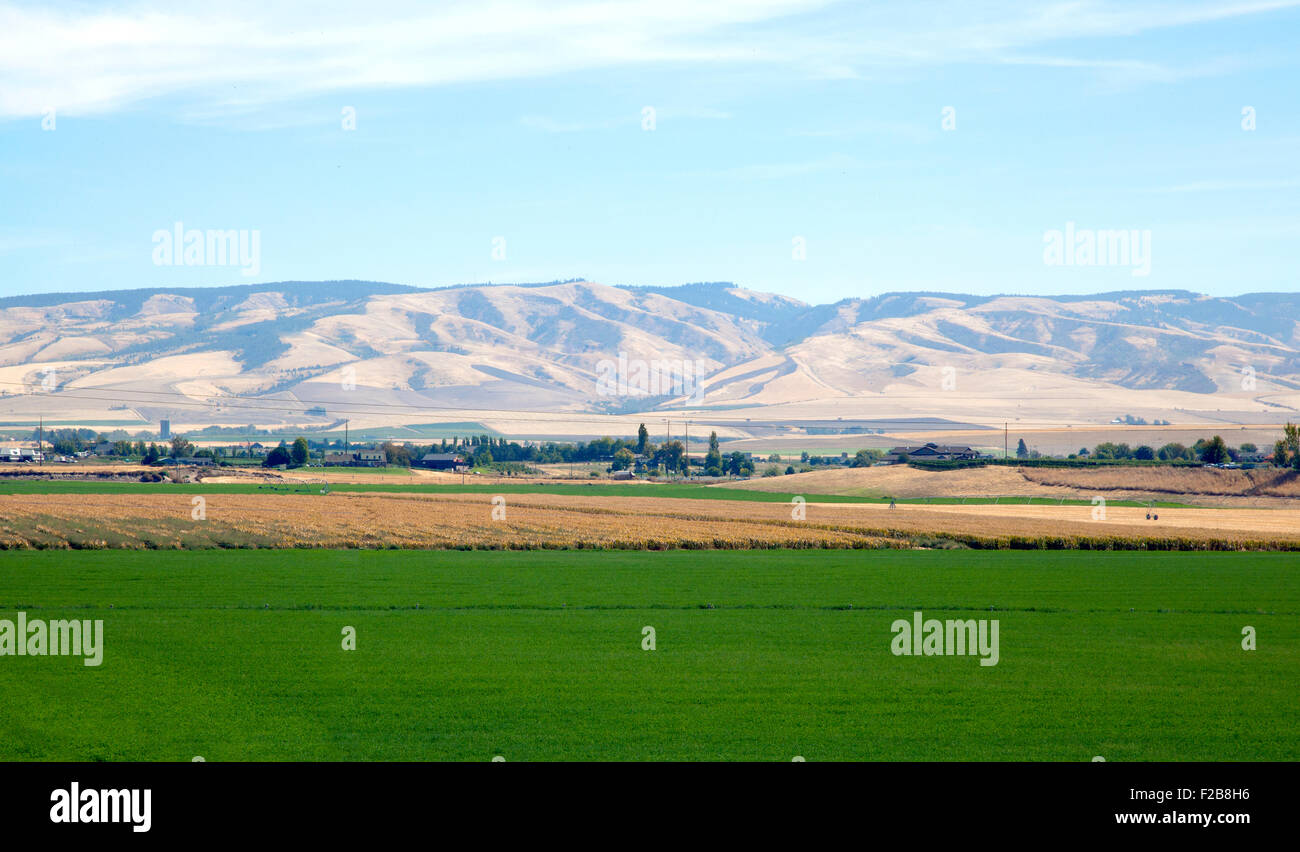 Walla Walla River Valley looking east toward the Blue Mountains ...