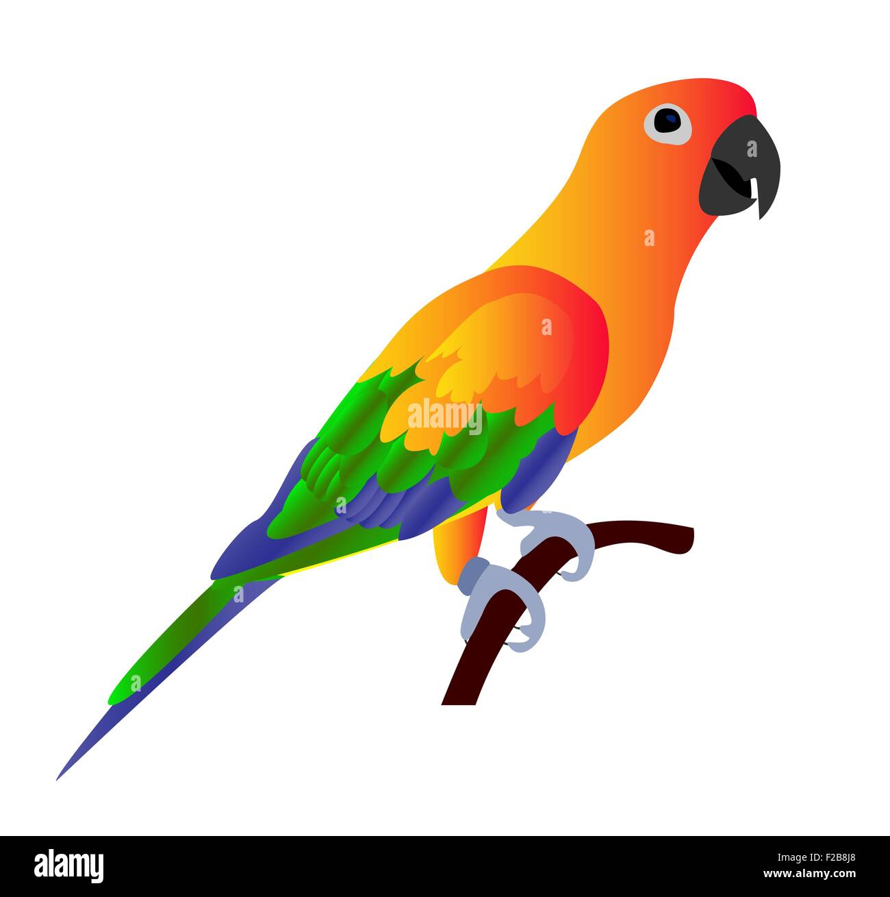 Beautiful colorful parrot isolated on white background- vector ...