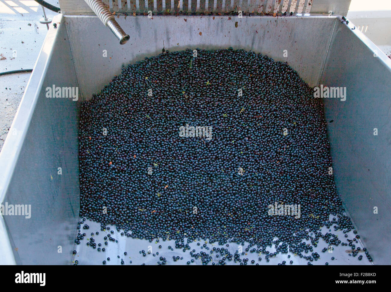 Winery operation hi-res stock photography and images - Alamy