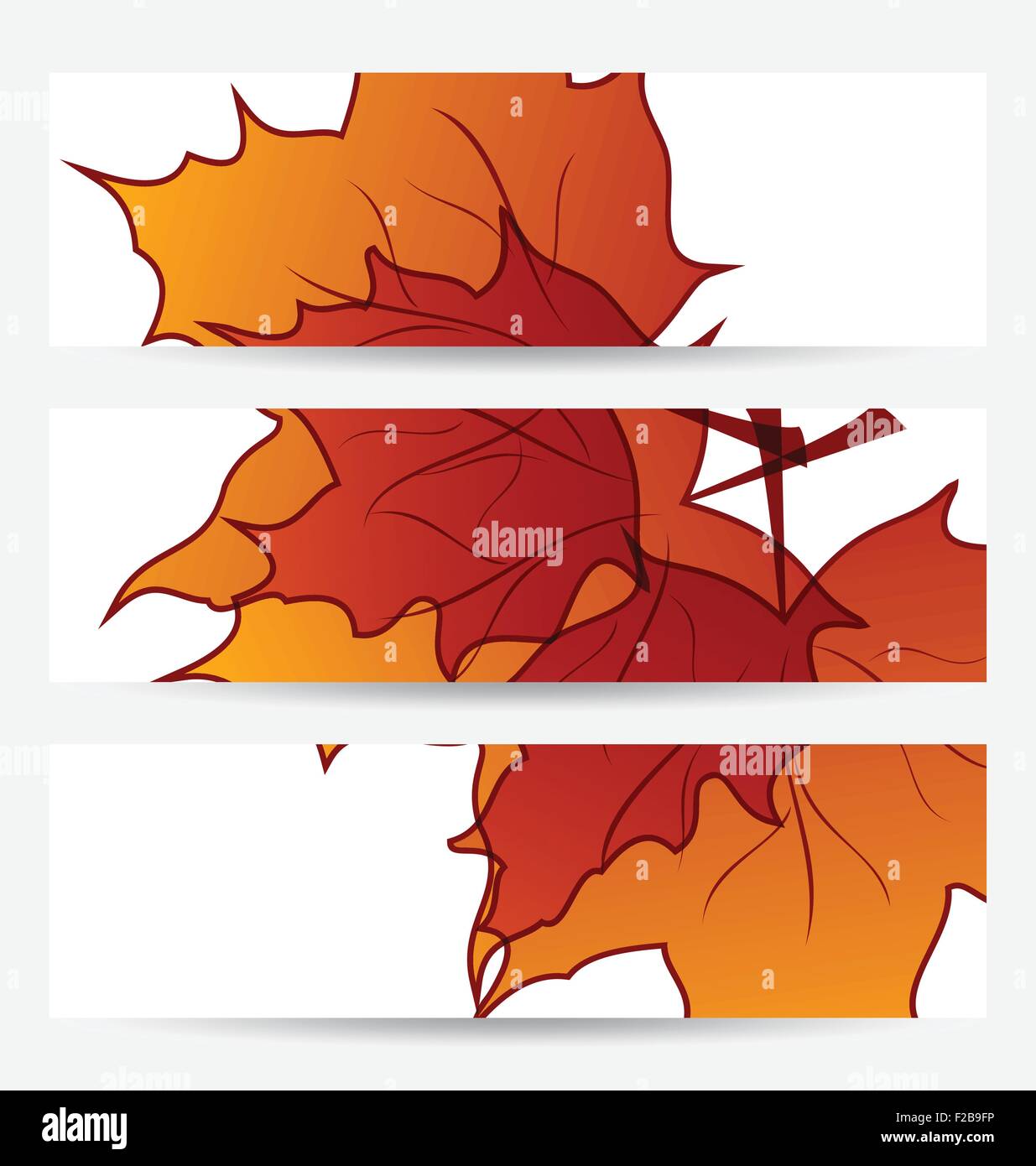 Leaves cards set design Stock Vector Images - Alamy