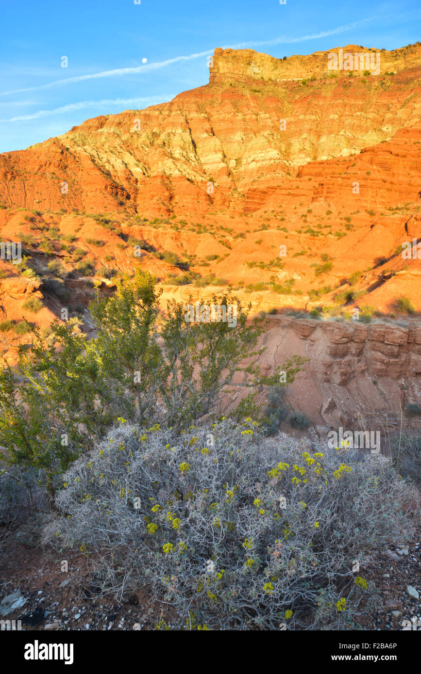 Colorful butte at Hurricane Mesa at sunrise along State Highway 9 near ...