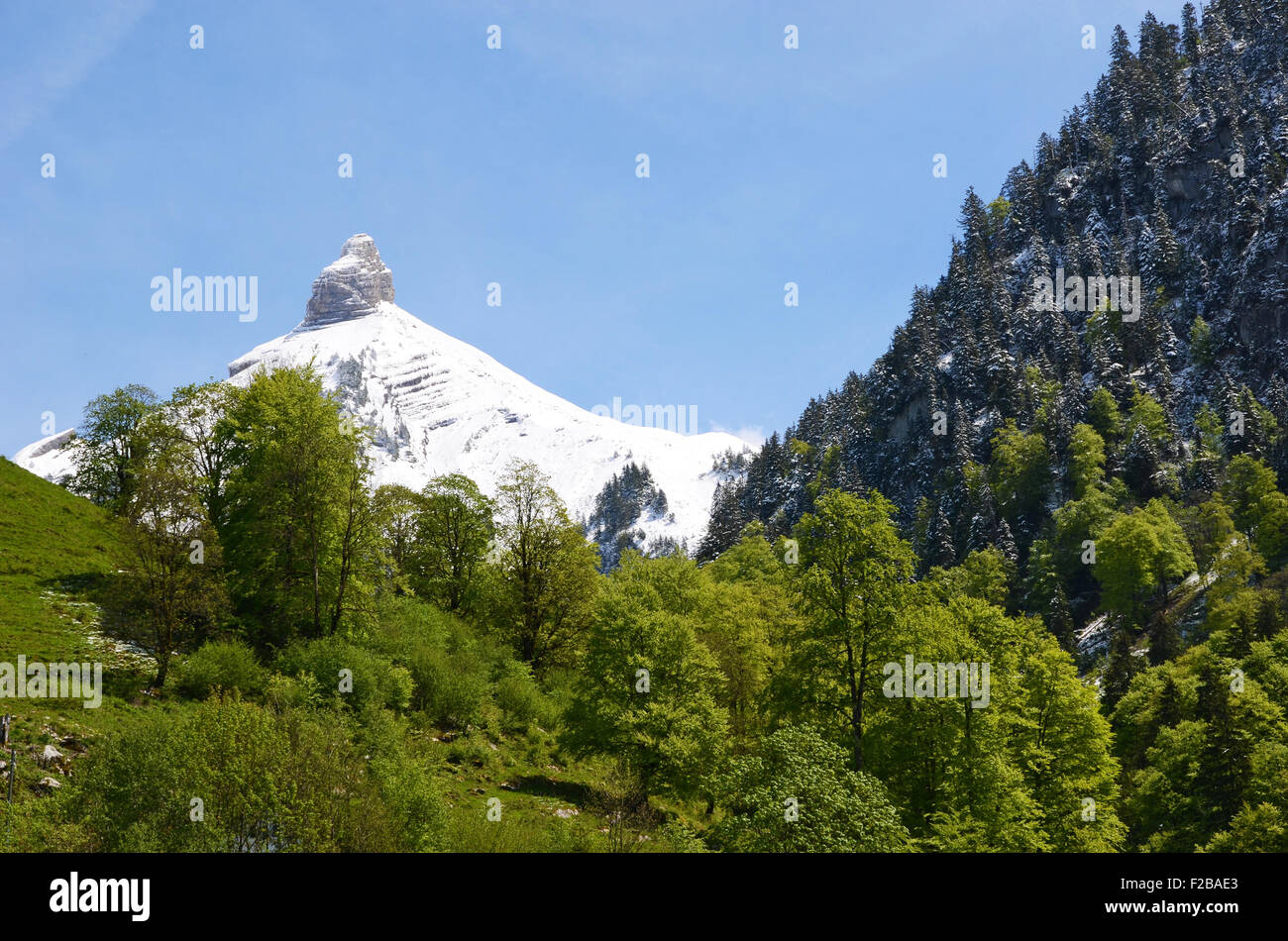 Spring in Switzerland Stock Photo - Alamy