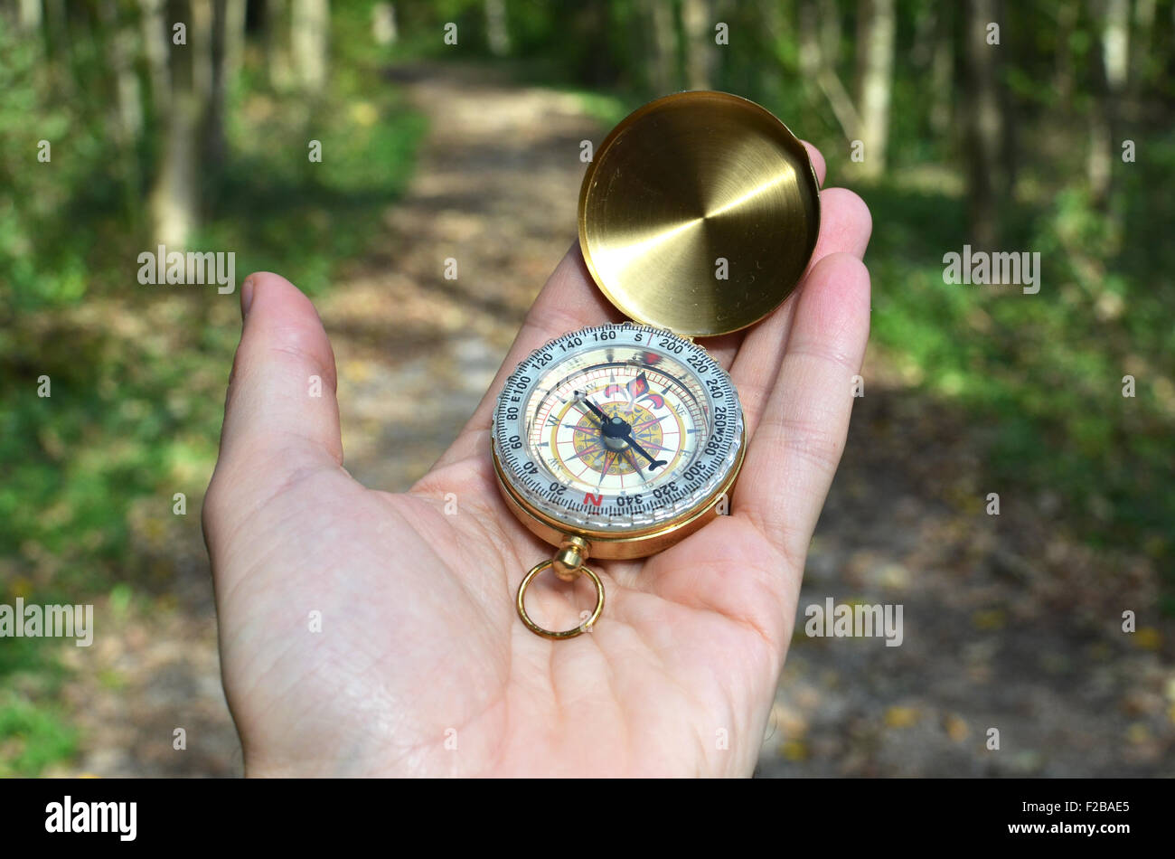 Compass in the hand Stock Photo - Alamy