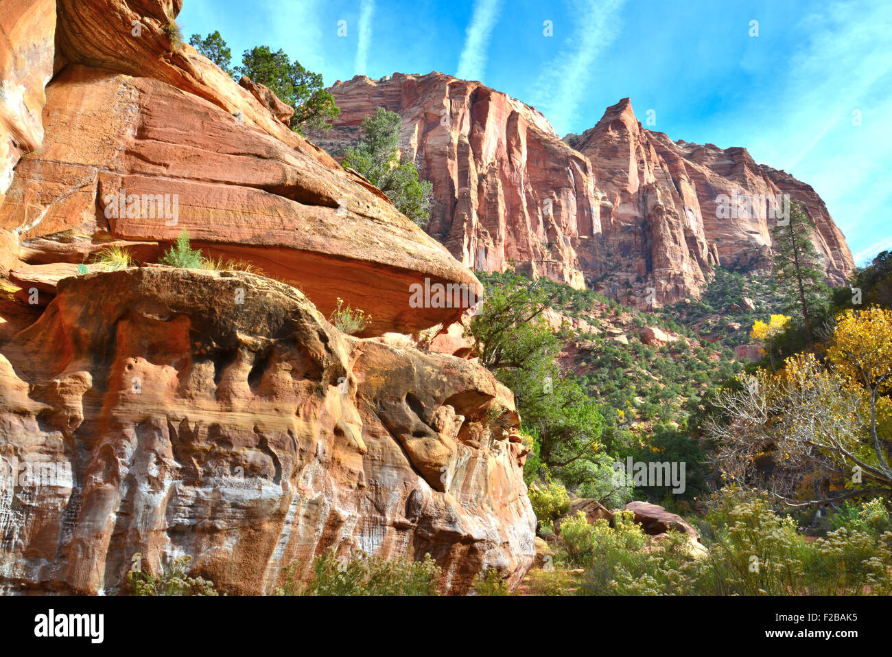 Zion Canyon in Zion National Park near Springdale Utah in Southwestern ...