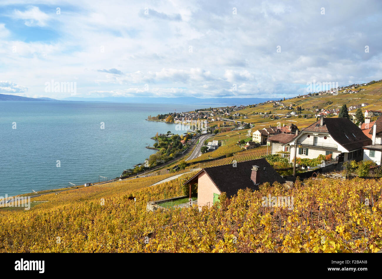 Vineyards in Lavaux region, Switzerland Stock Photo - Alamy