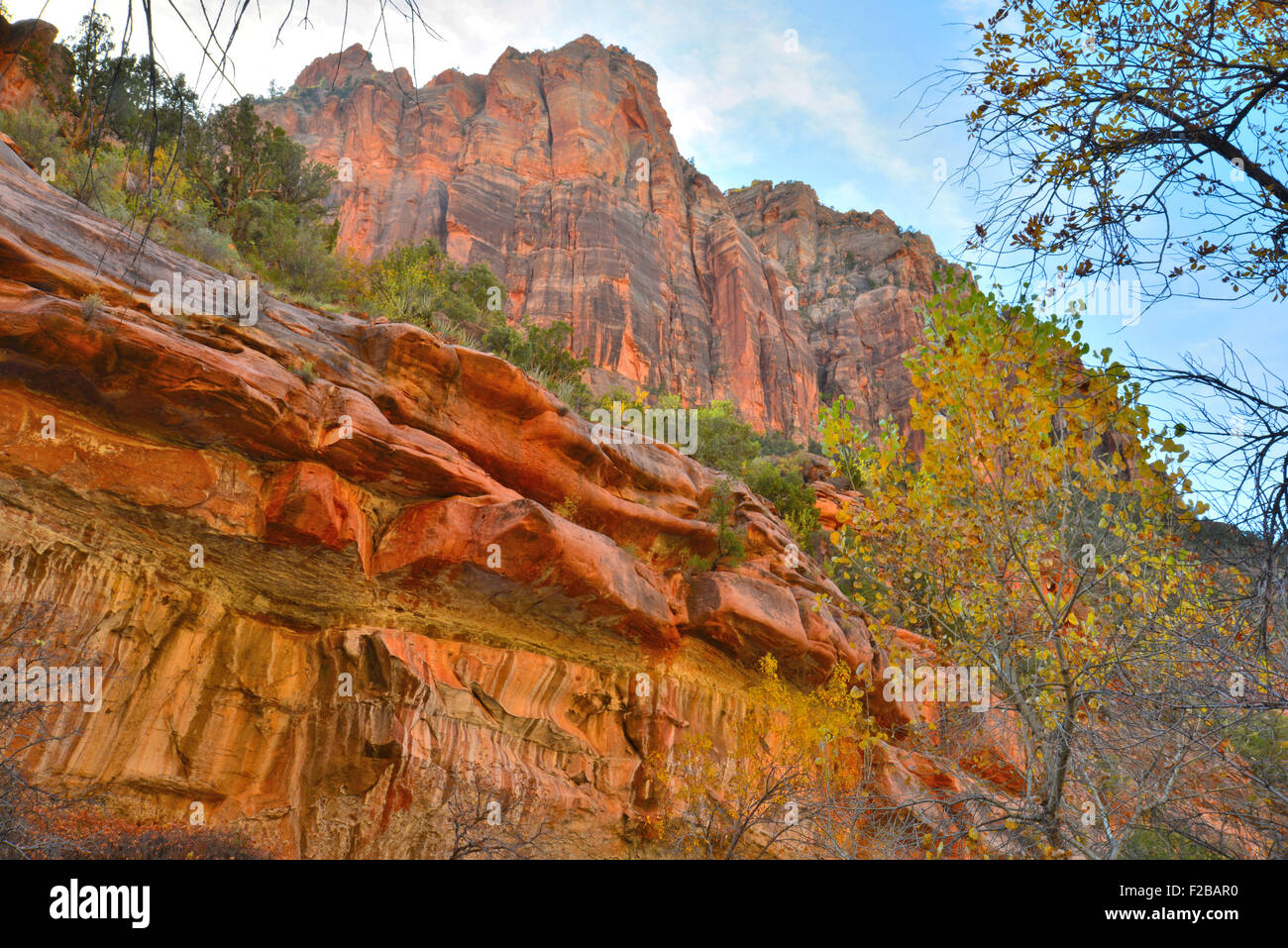 Zion Canyon in Zion National Park near Springdale Utah in Southwestern ...