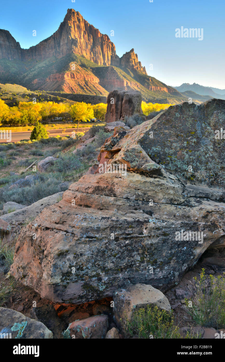 View of The Watchman at sunset in fall near the entrance of Zion ...