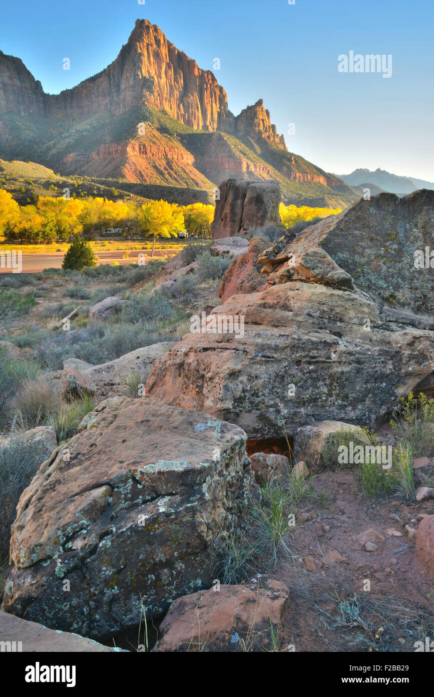 View of The Watchman at sunset in fall near the entrance of Zion ...