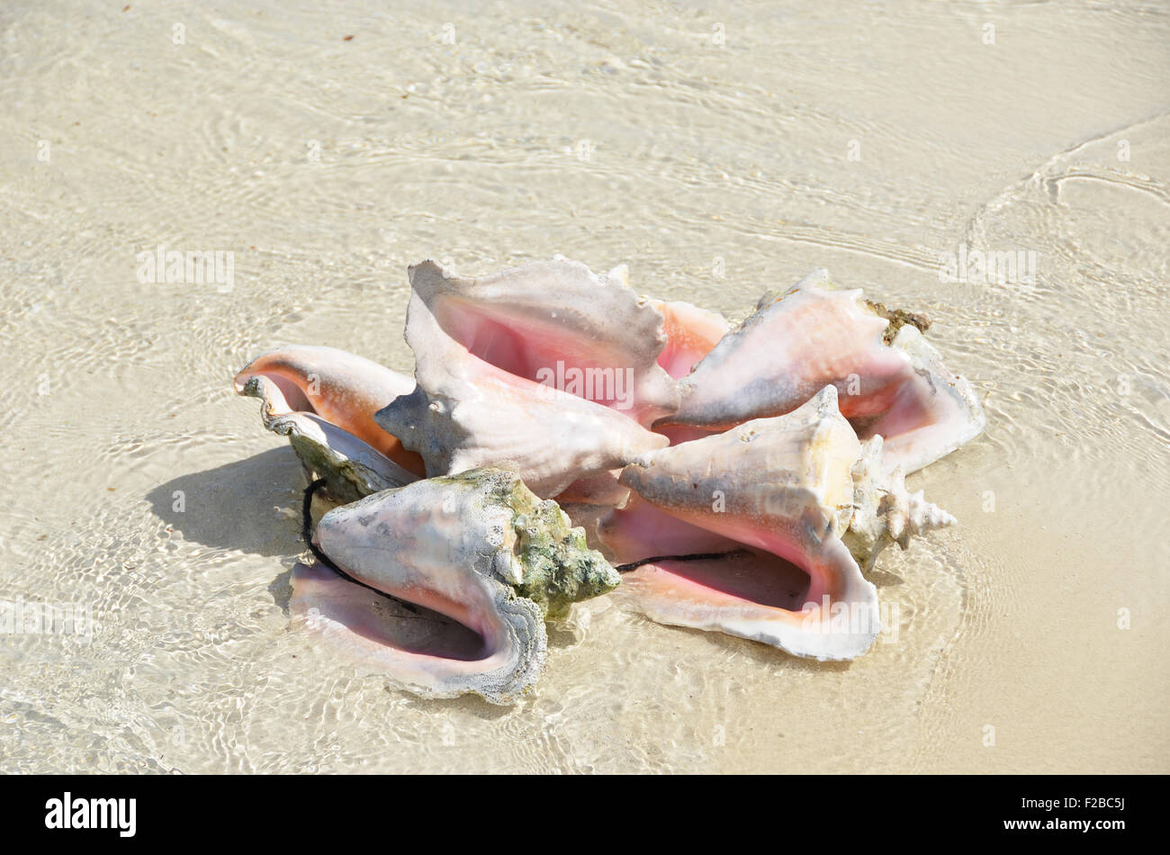 Bunch beach hi-res stock photography and images - Alamy