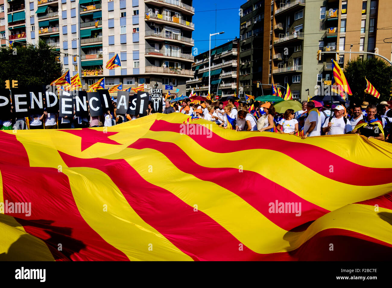 Crowds of people at the demonstration for independence in Barcelona on ...