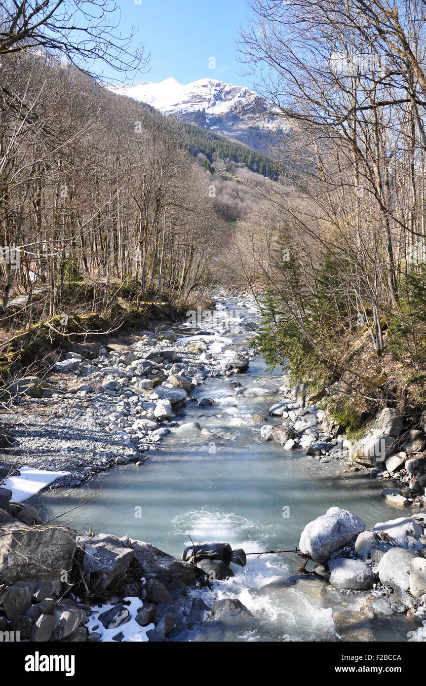 Elm region hi-res stock photography and images - Alamy