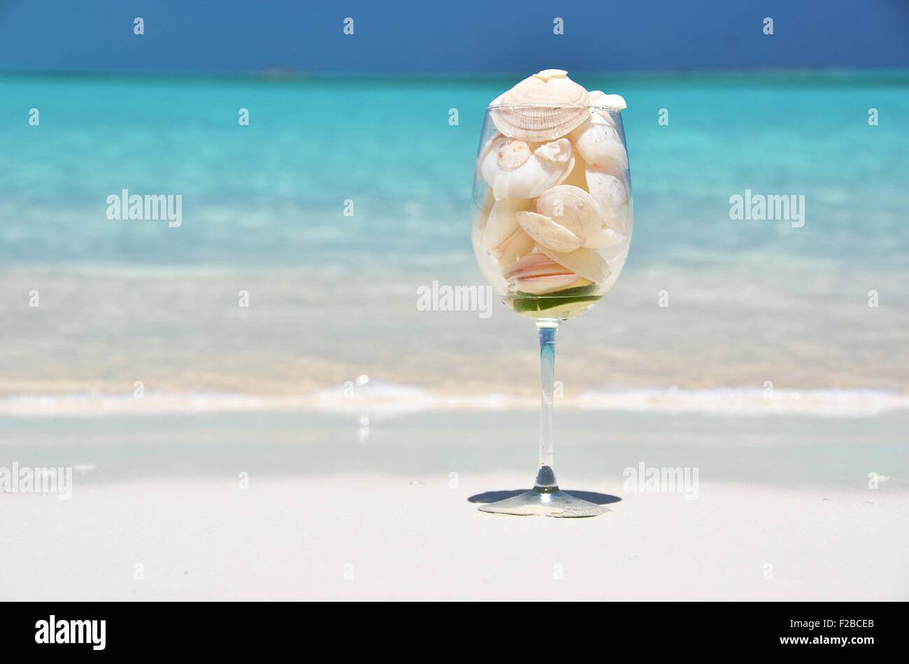 Glass full of seashells on the beach. Great Exuma, Bahamas Stock Photo ...