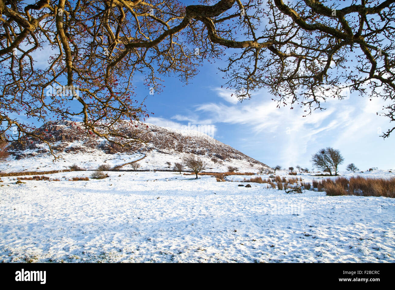 Slemish Mountain dusted in snow Stock Photo - Alamy