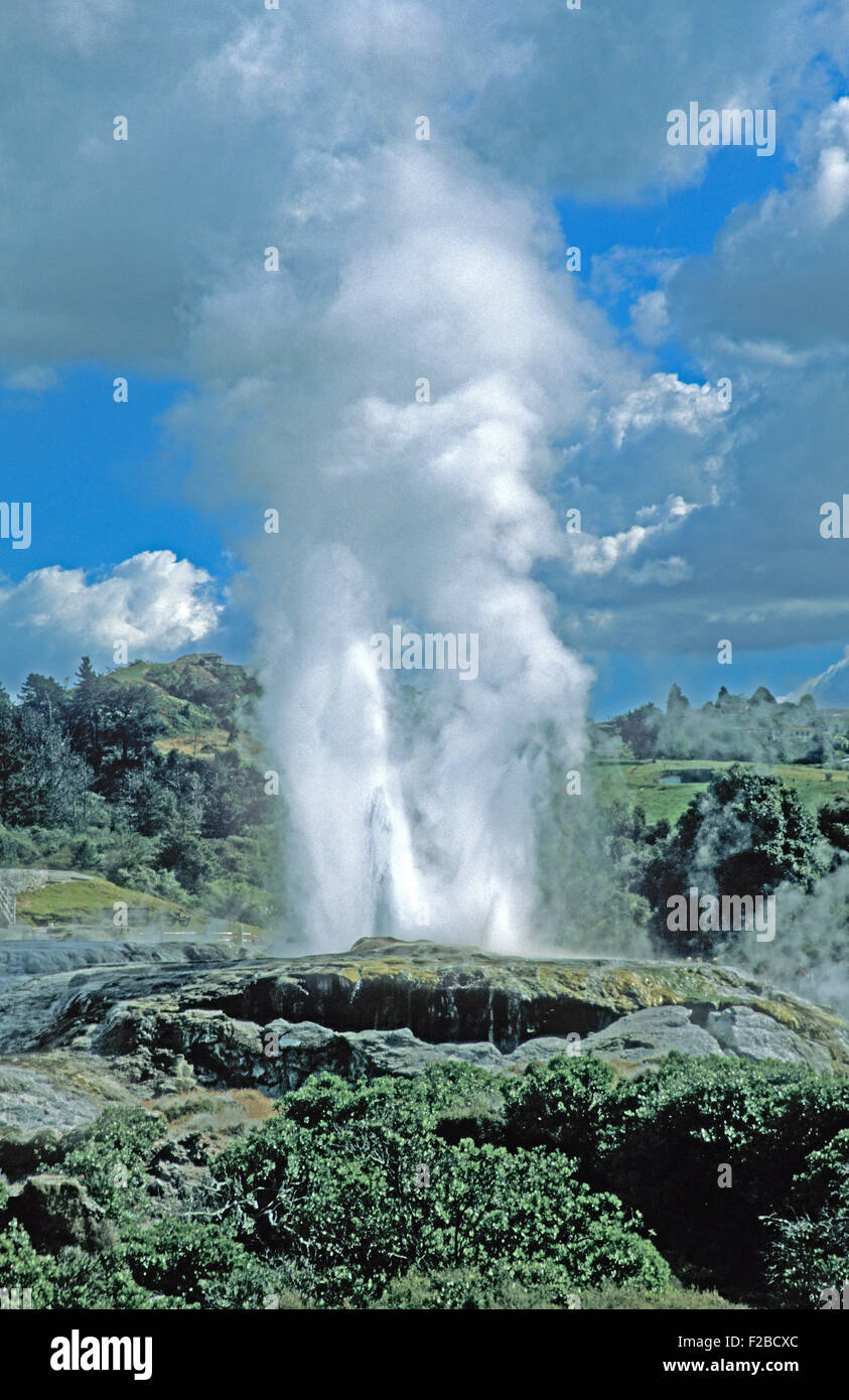 Rotorua, Marae Te Puia, New Zealand, North Island, Whakarewarewa ...