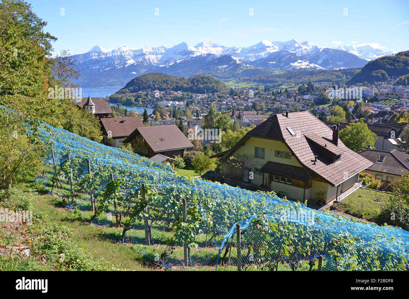 Spiez autumn hi-res stock photography and images - Alamy