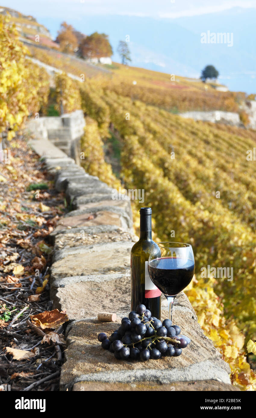 Lavaux region lake wine hi-res stock photography and images - Alamy