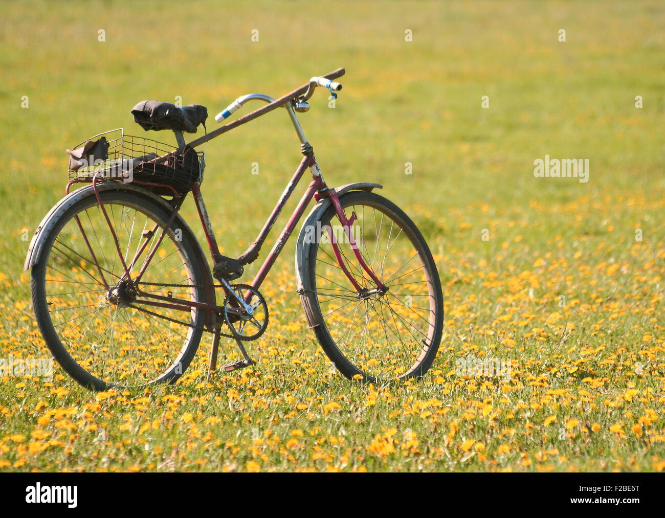 Old bicycle in the field Stock Photo - Alamy