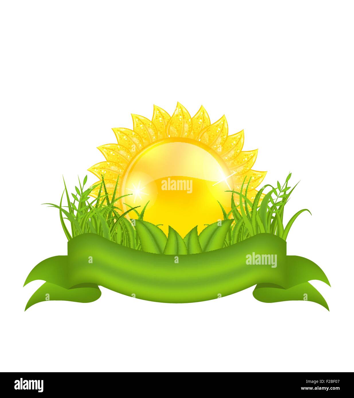 Nature symbols - sun, green leaves, grass, ribbon Stock Vector Image ...