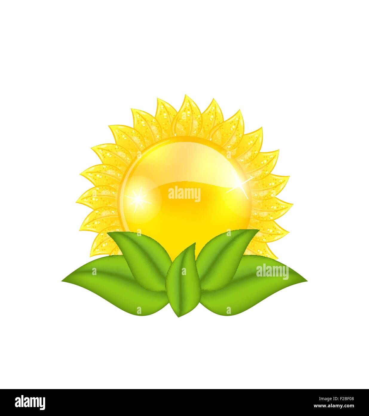 Abstract sun with green leaves, isolated on white background Stock ...