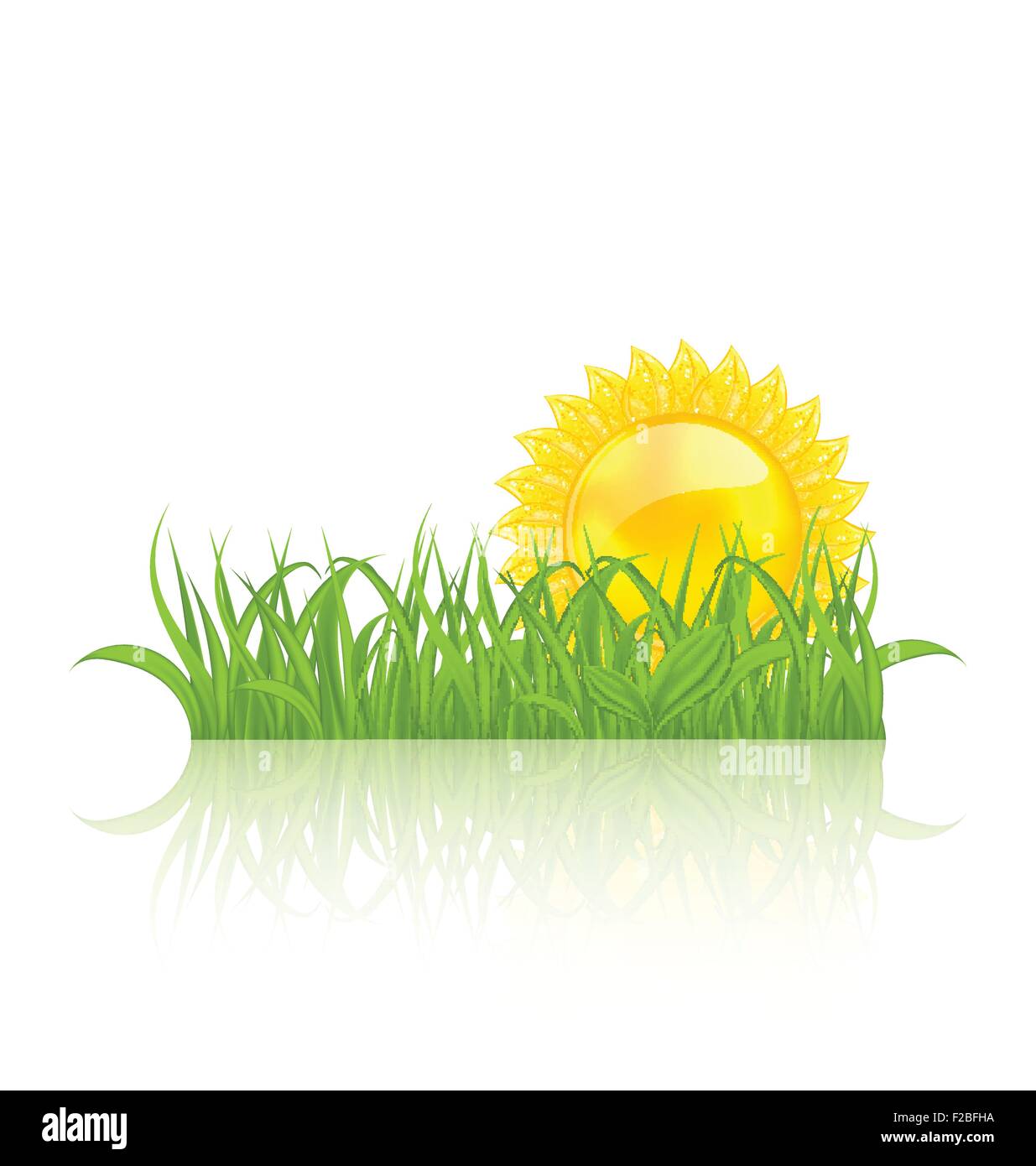 Field of yellow grass Cut Out Stock Images & Pictures - Alamy