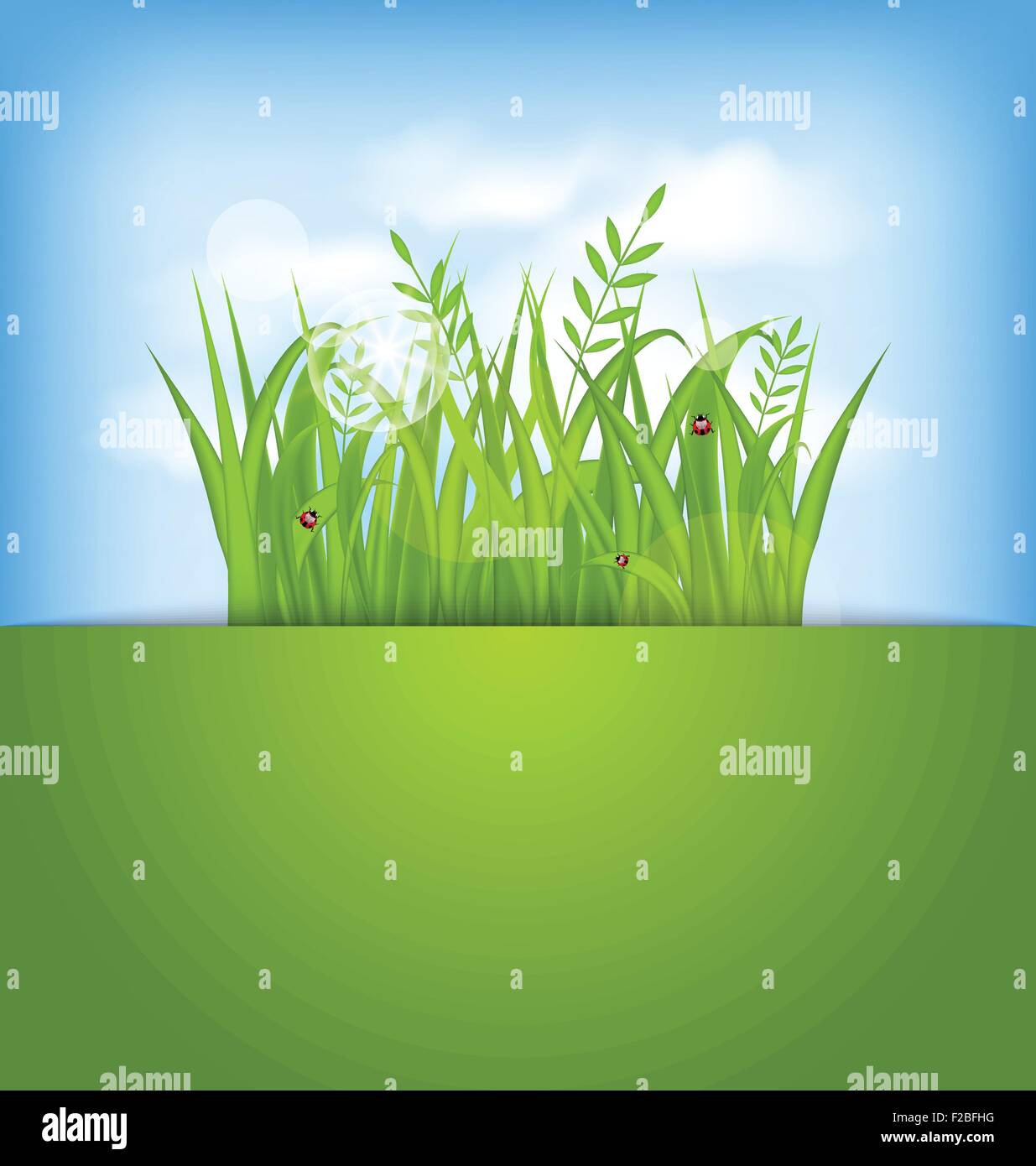 Morning nature background beautiful Stock Vector Images - Alamy