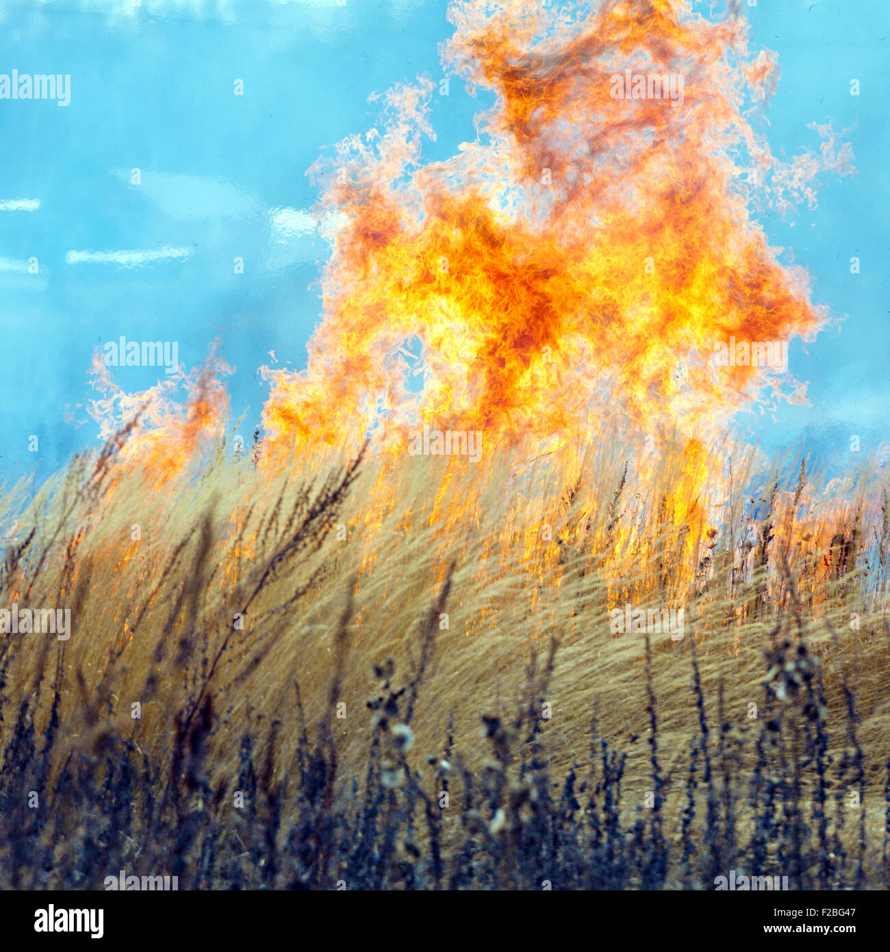 Grass land fires hi-res stock photography and images - Alamy