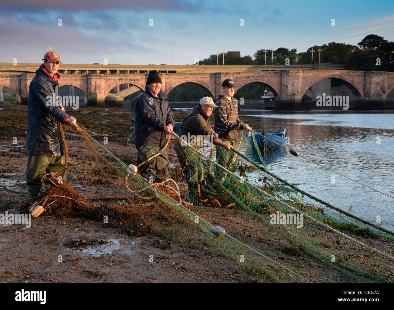Fishing at Gardo fishery at Tweedmouth on the River Tweed the last ...