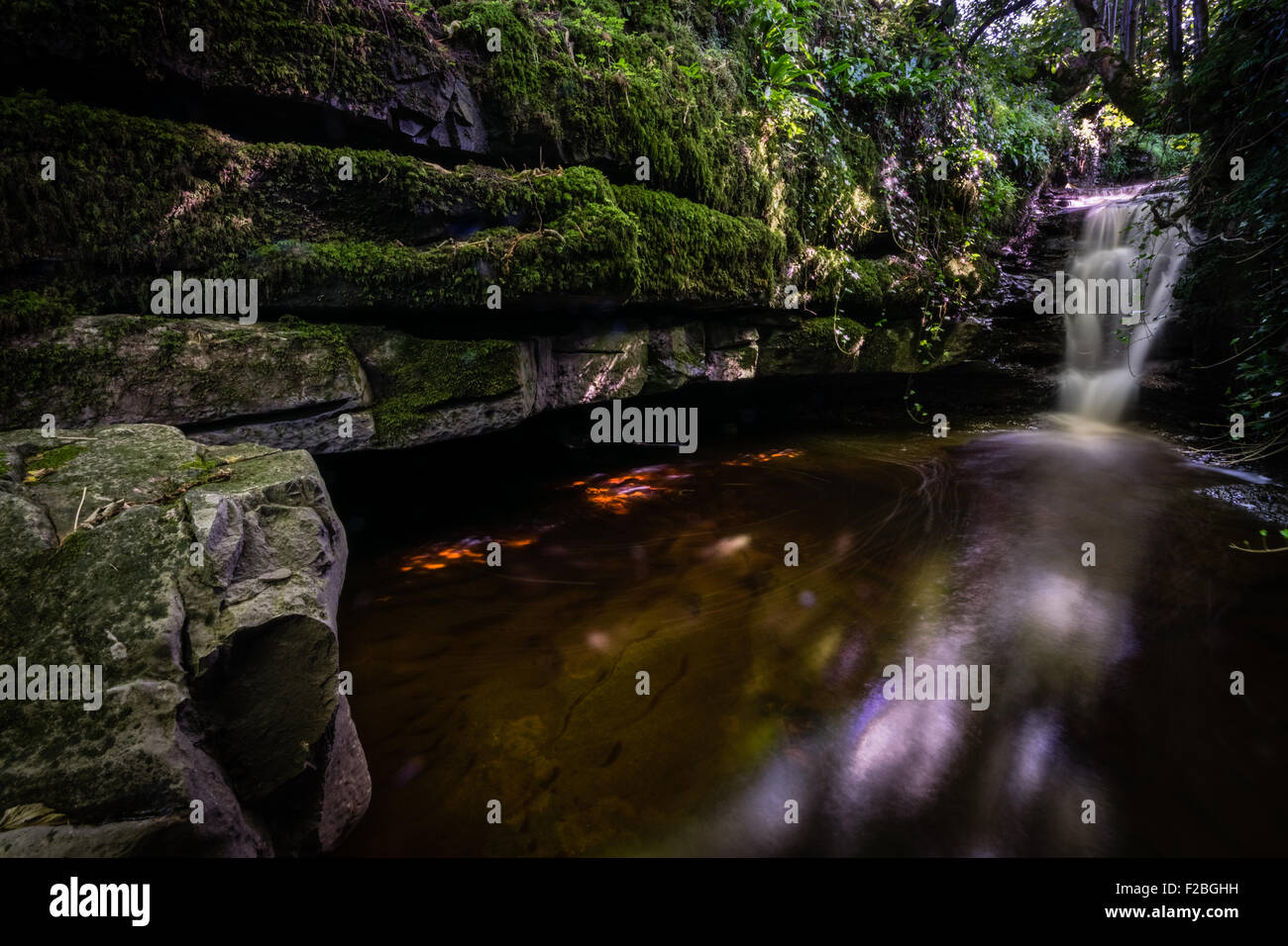 Deepdale head hi-res stock photography and images - Alamy