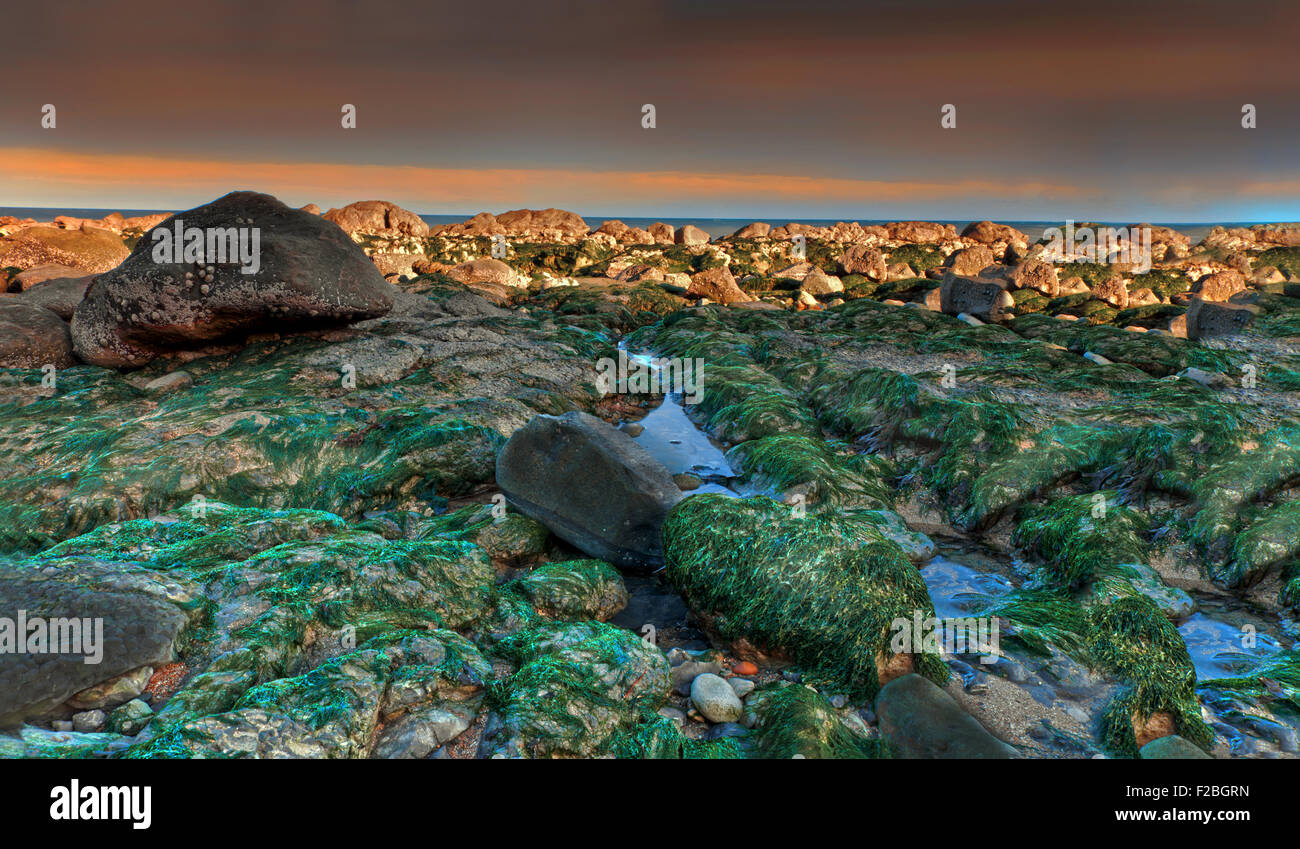 Beachy Head Cow Gap High Resolution Stock Photography and Images - Alamy