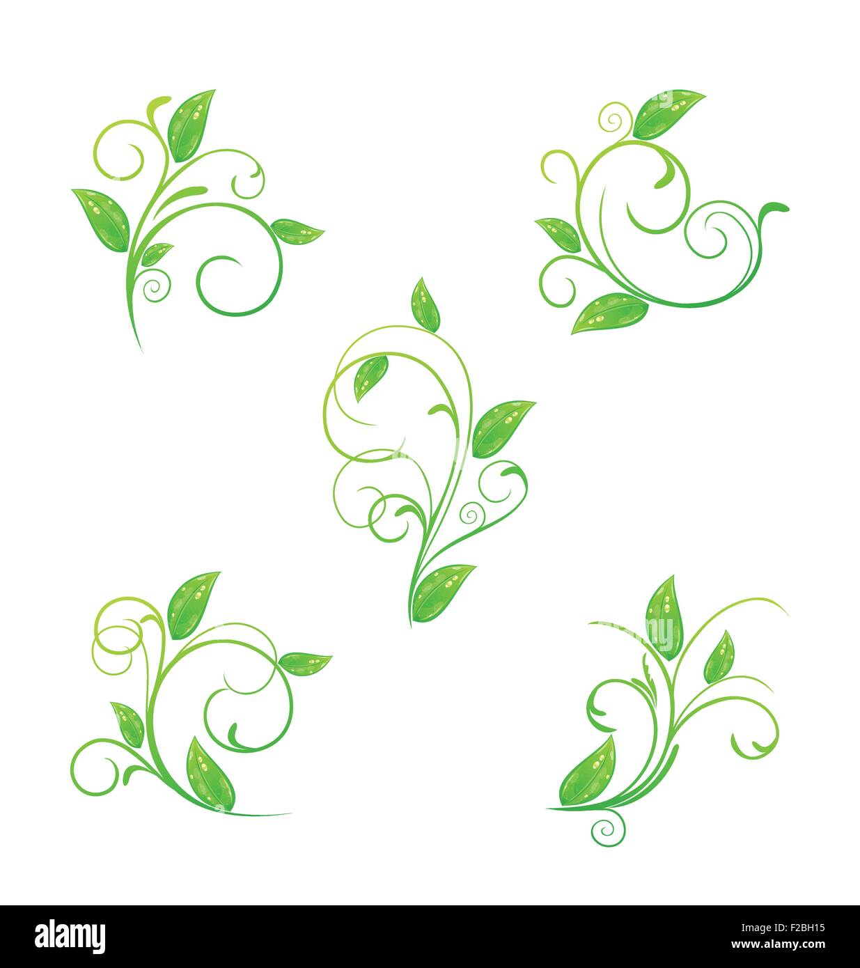 Set green floral elements with eco leaves isolated Stock Vector Image ...