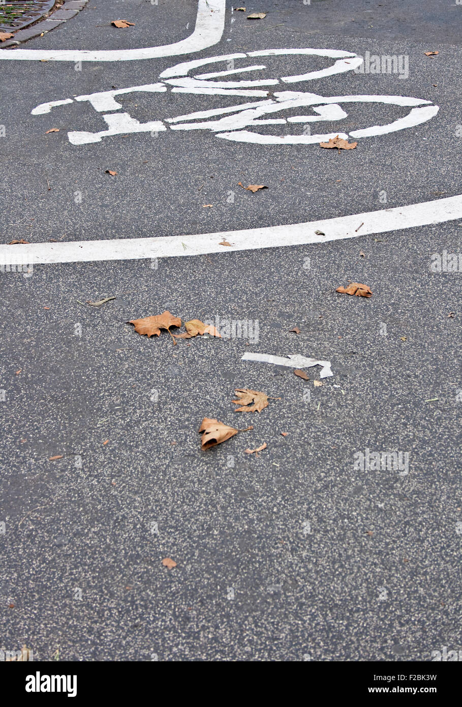 Dead leaves on Bicycle path Stock Photo - Alamy