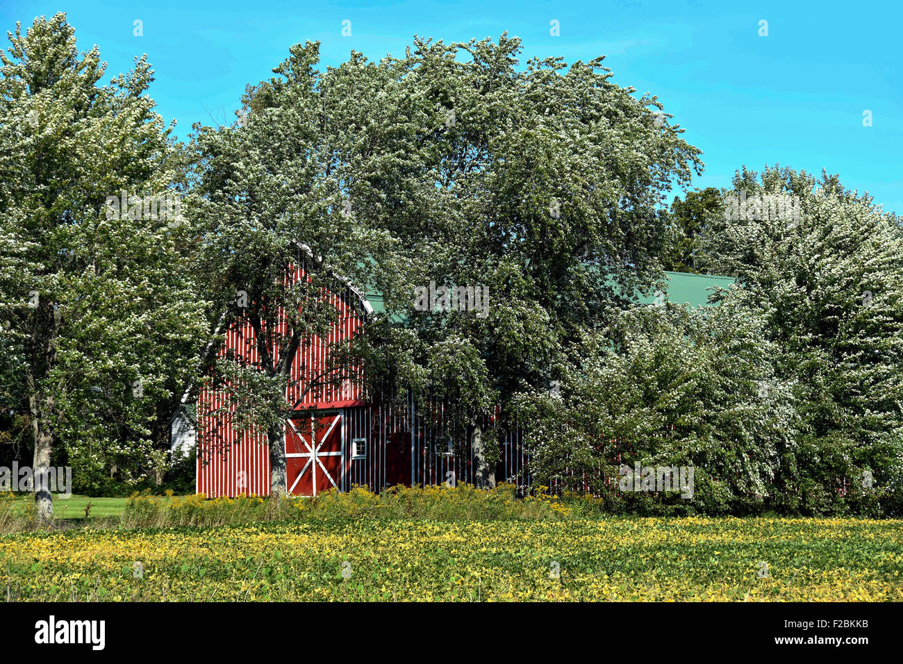 Red barn with white door hi-res stock photography and images - Alamy