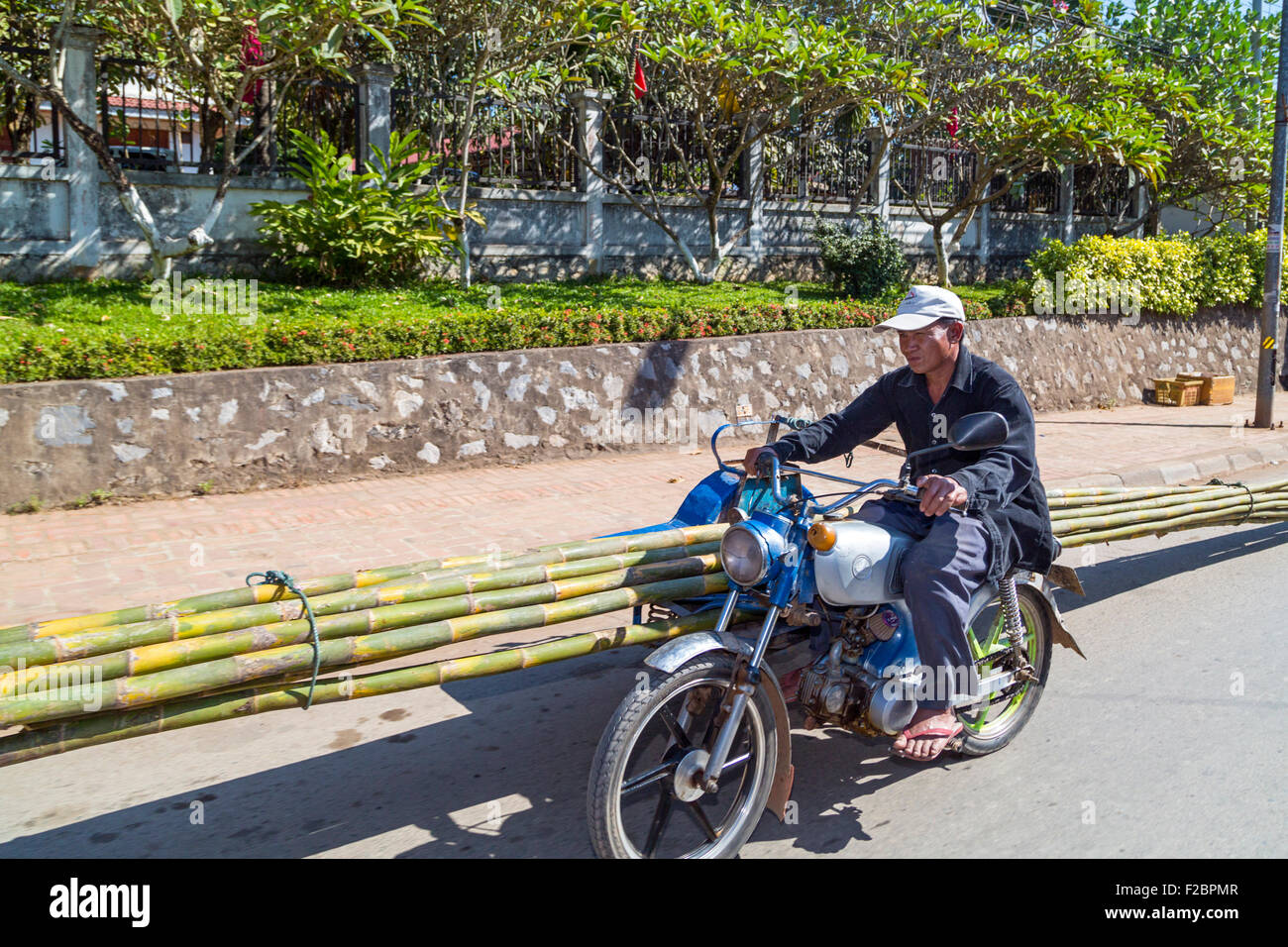 Motorcycle carrying bamboo poles, Luang Prabang, Laos Stock Photo - Alamy